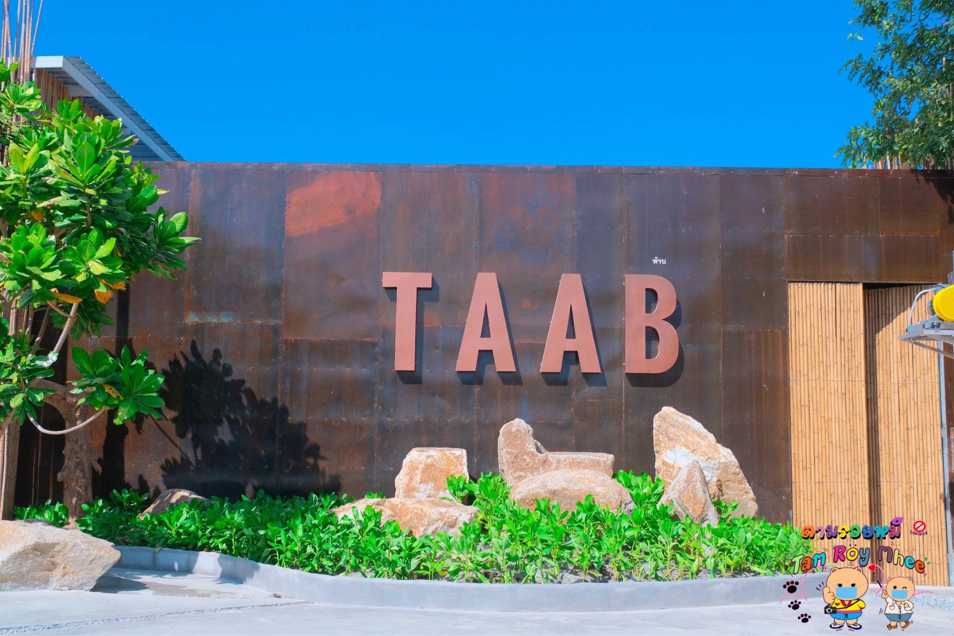 รีวิว TAAB luxury camp by Sleepcat Family - แคมป์คาเฟ่ลับสุดหรู