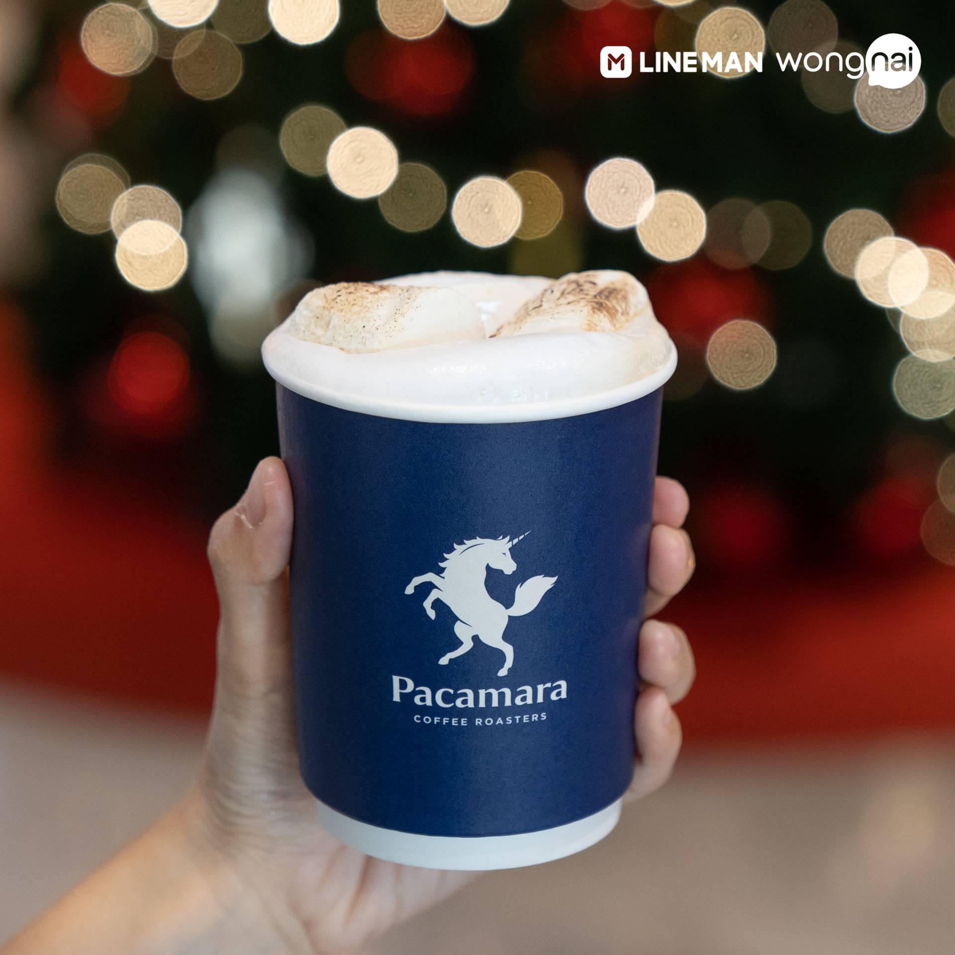 รูป PACAMARA ไอคอนสยาม
