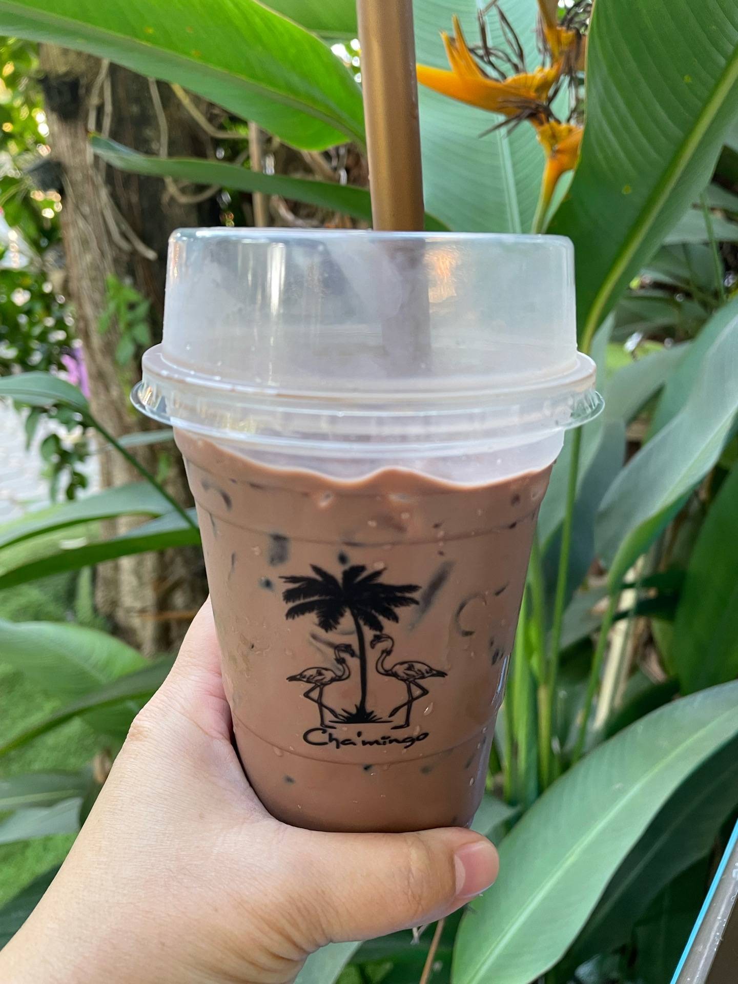 รีวิว Cha'mingo ชามิงโก้ แม่แตง - ร้านชามุกที่ลานจอดรถแอร์ไดมอน แม่แตง ...