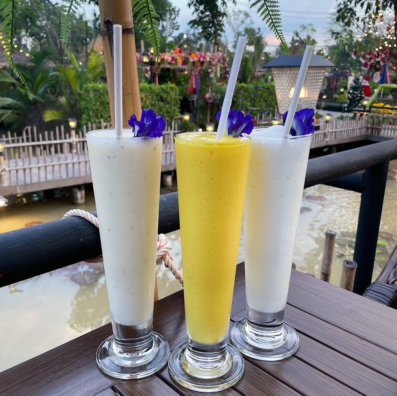 รูป มาตา การ์เด้น