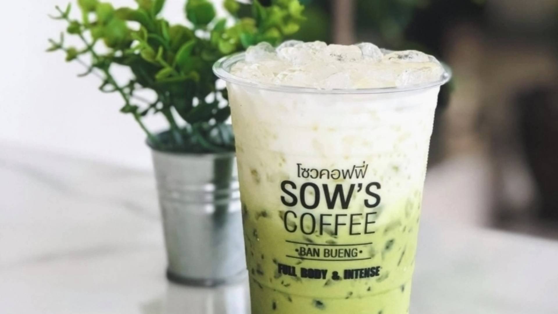 Sow's coffee หน้าร้านบ้านบึงเครื่องเขียน - สั่งอาหารเดลิเวอรี | Wongnai ...