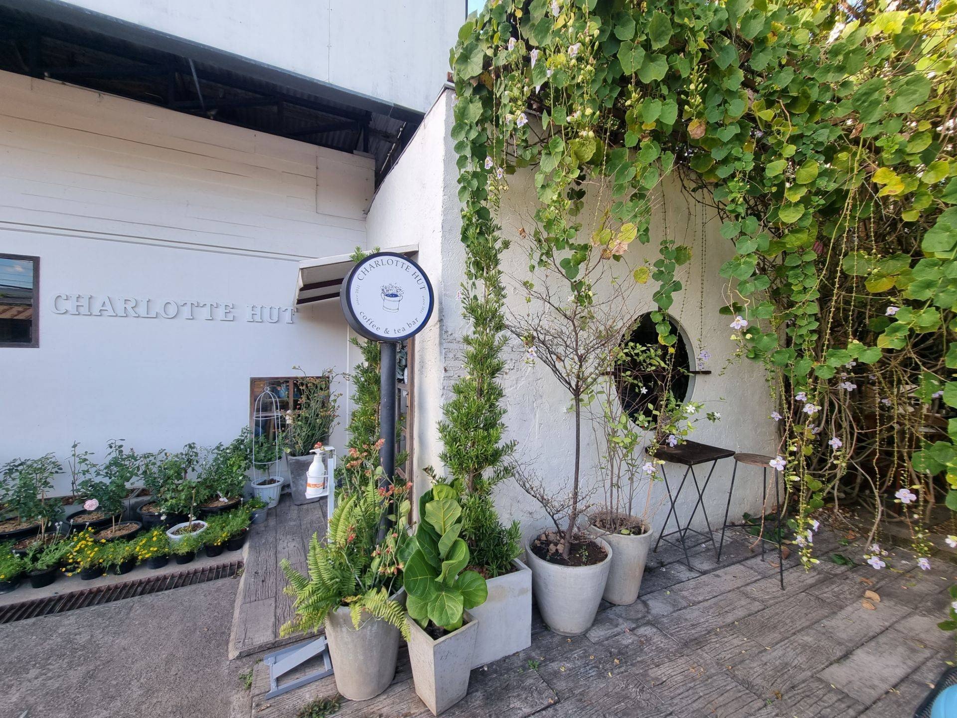 รีวิว Charlotte Hut Coffee & Tea Bar แพร่ - ร้านสวย เครื่องดื่มอร่อย ไม่แพง