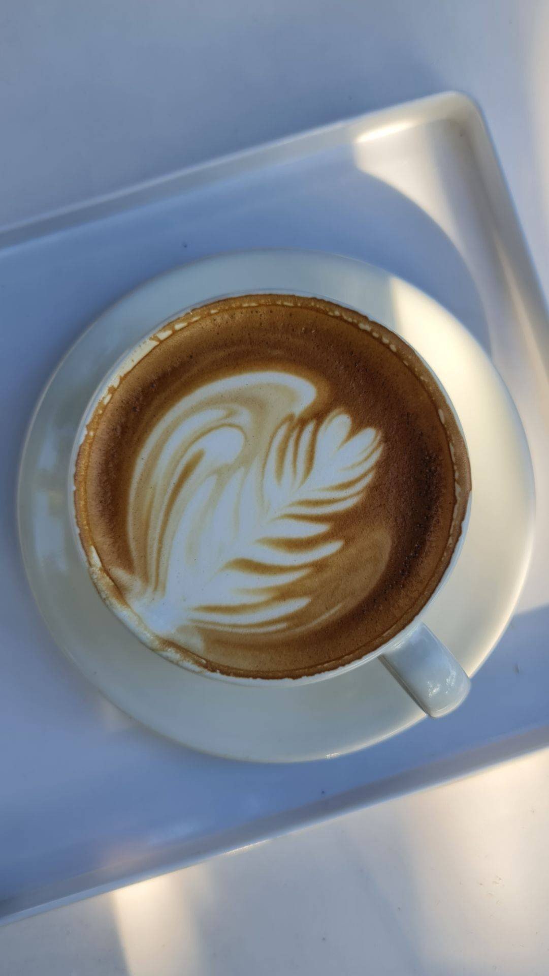 รีวิว Secret Specialty Coffee - ร้านกว้าง ร่มรื่น ชิวมาก อยู่ต่อเลยได้ ...