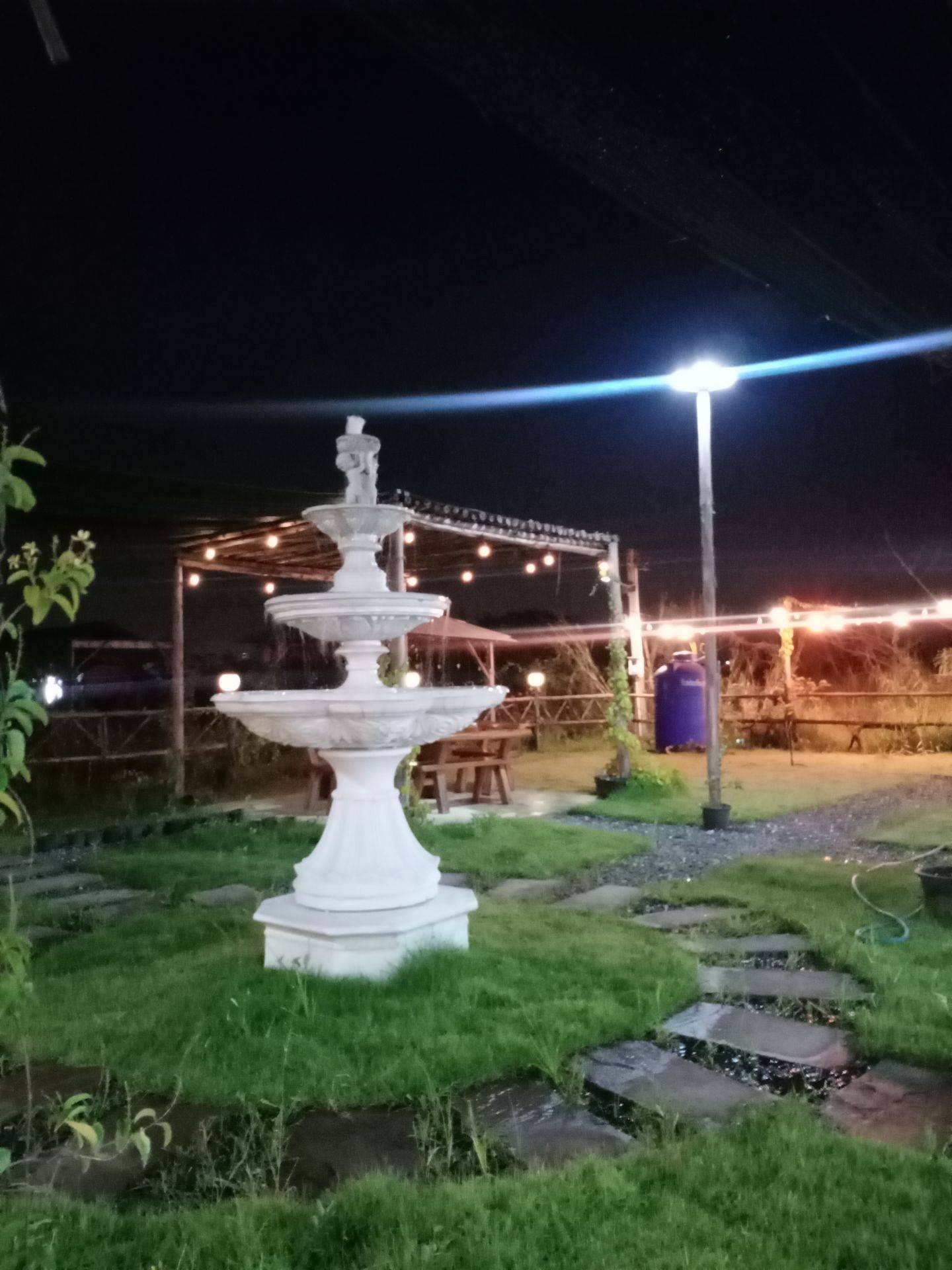 รีวิว Green Seafood - บรรยากาศดี ดนตรีฟังสบาย