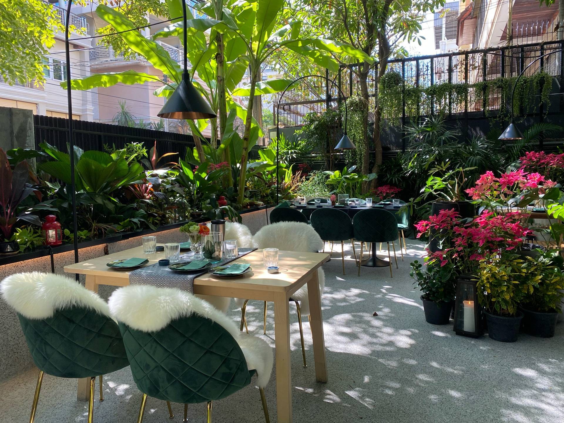 รูป Wolf984 - Wongnai