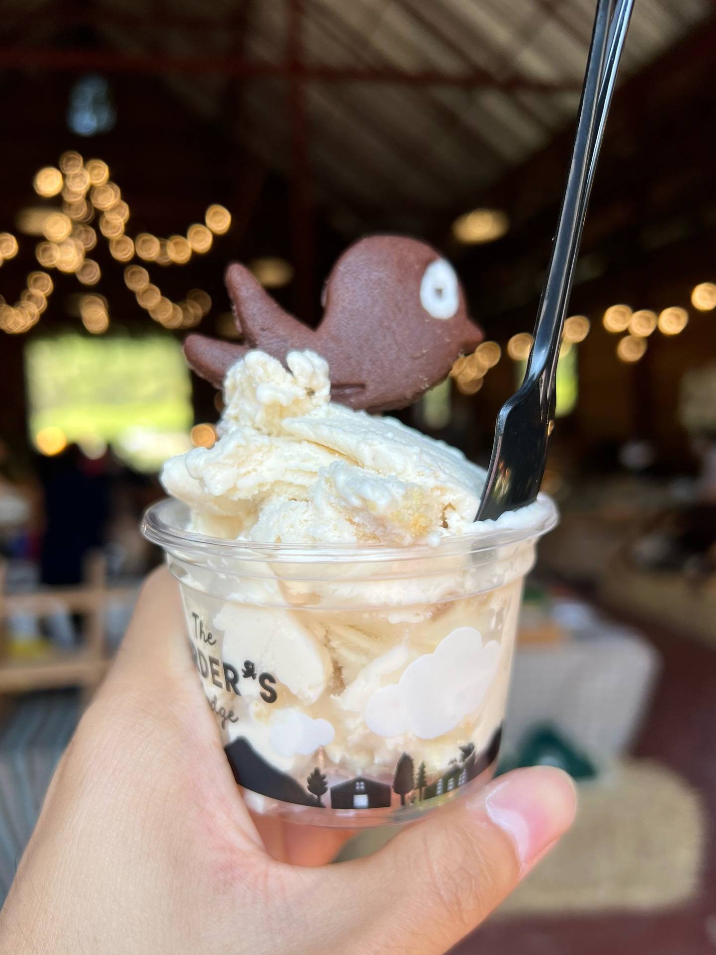 Banoffe Gelato ร้าน The Birder's Lodge Cafe (BL Cafe & Grill) - Wongnai