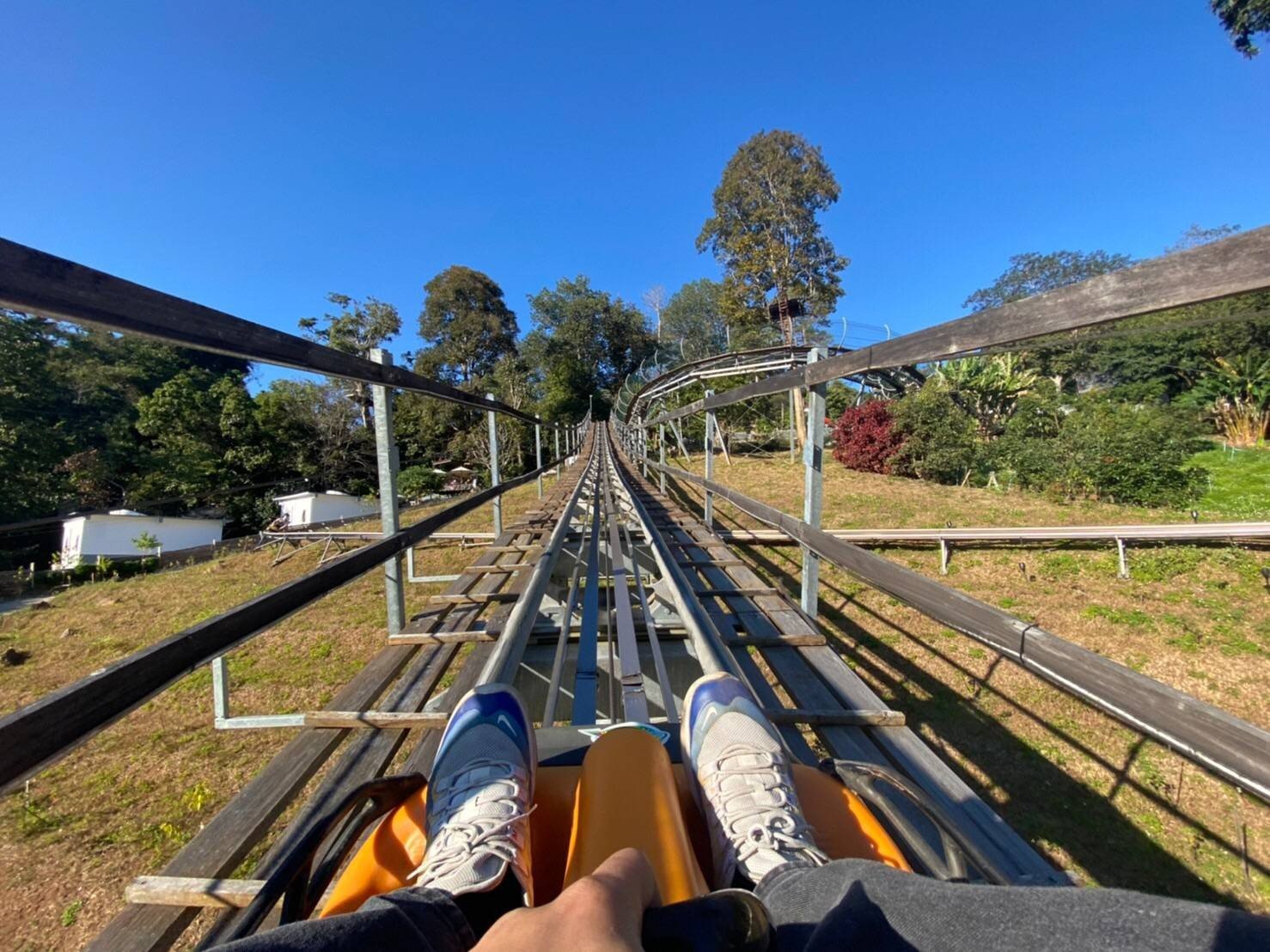 รูป Pongyang Jungle Coaster Zipline Camp&Resort - Wongnai