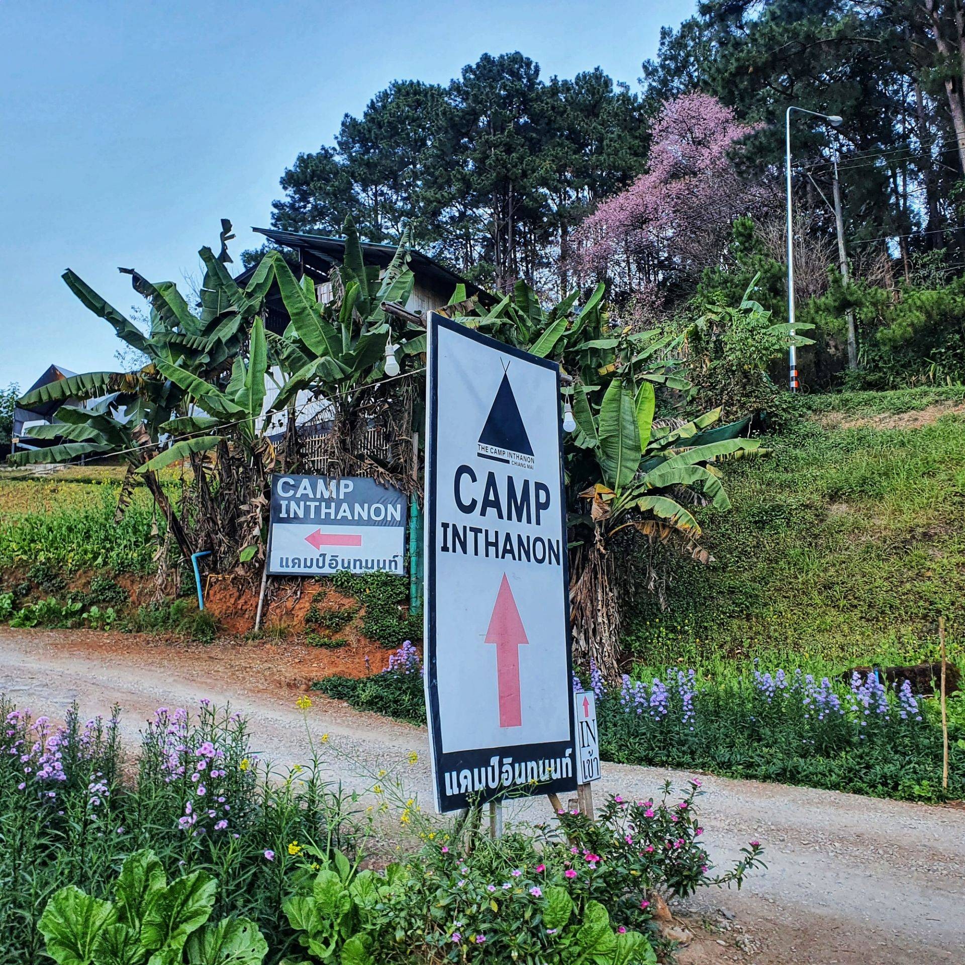 รูป Camp Inthanon