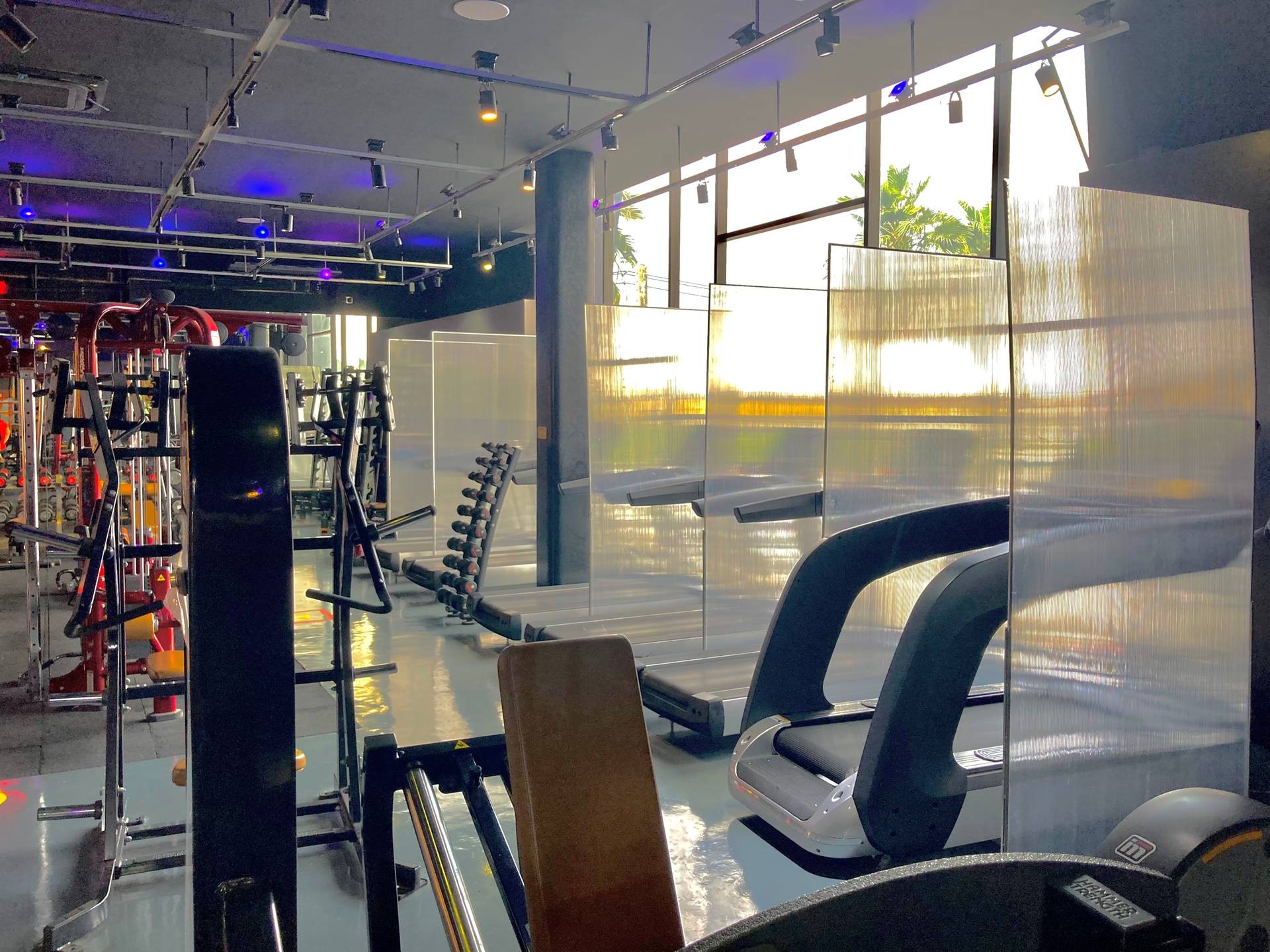 รูป GYM Monkey