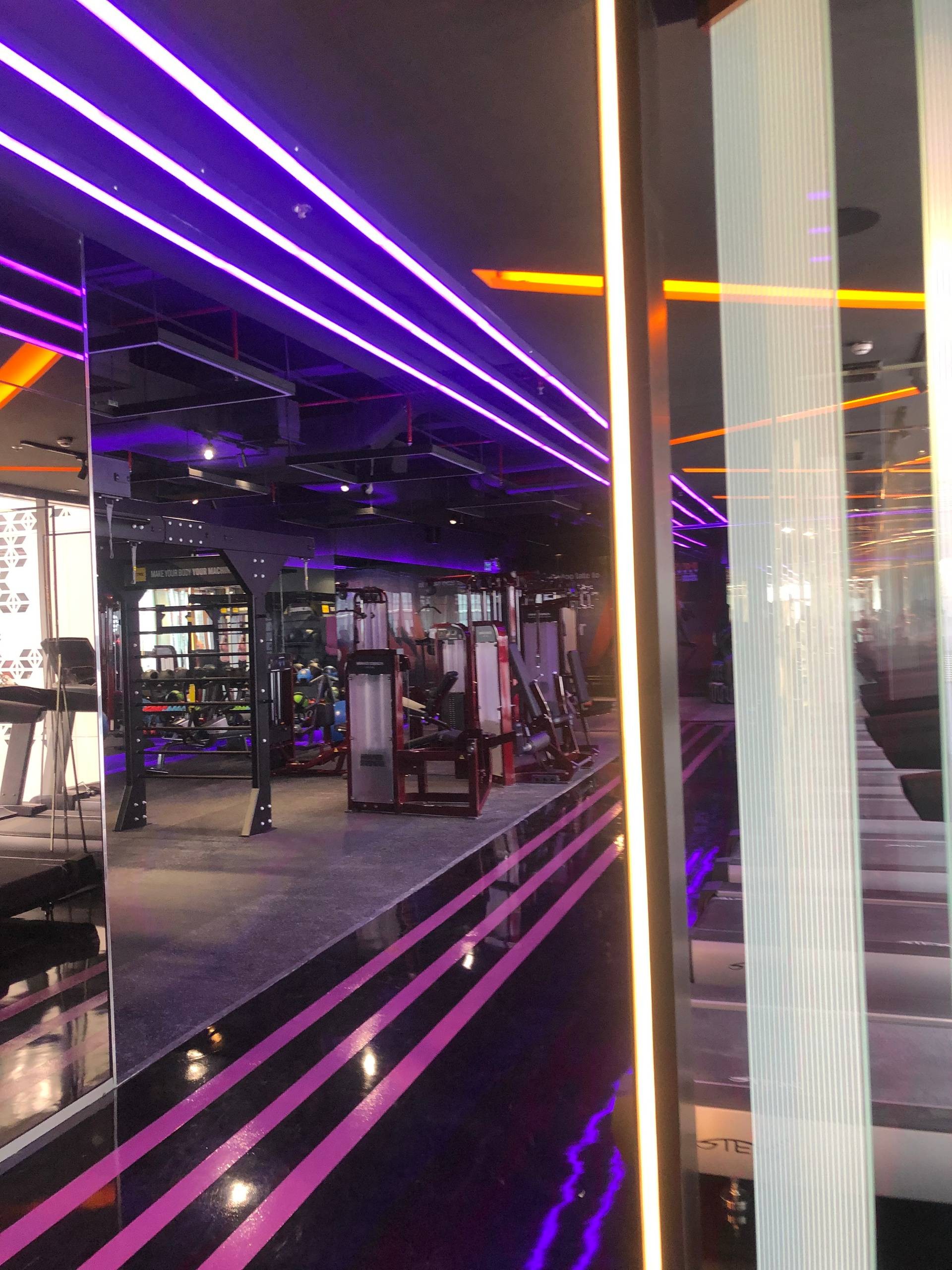 รูป GYM Monkey