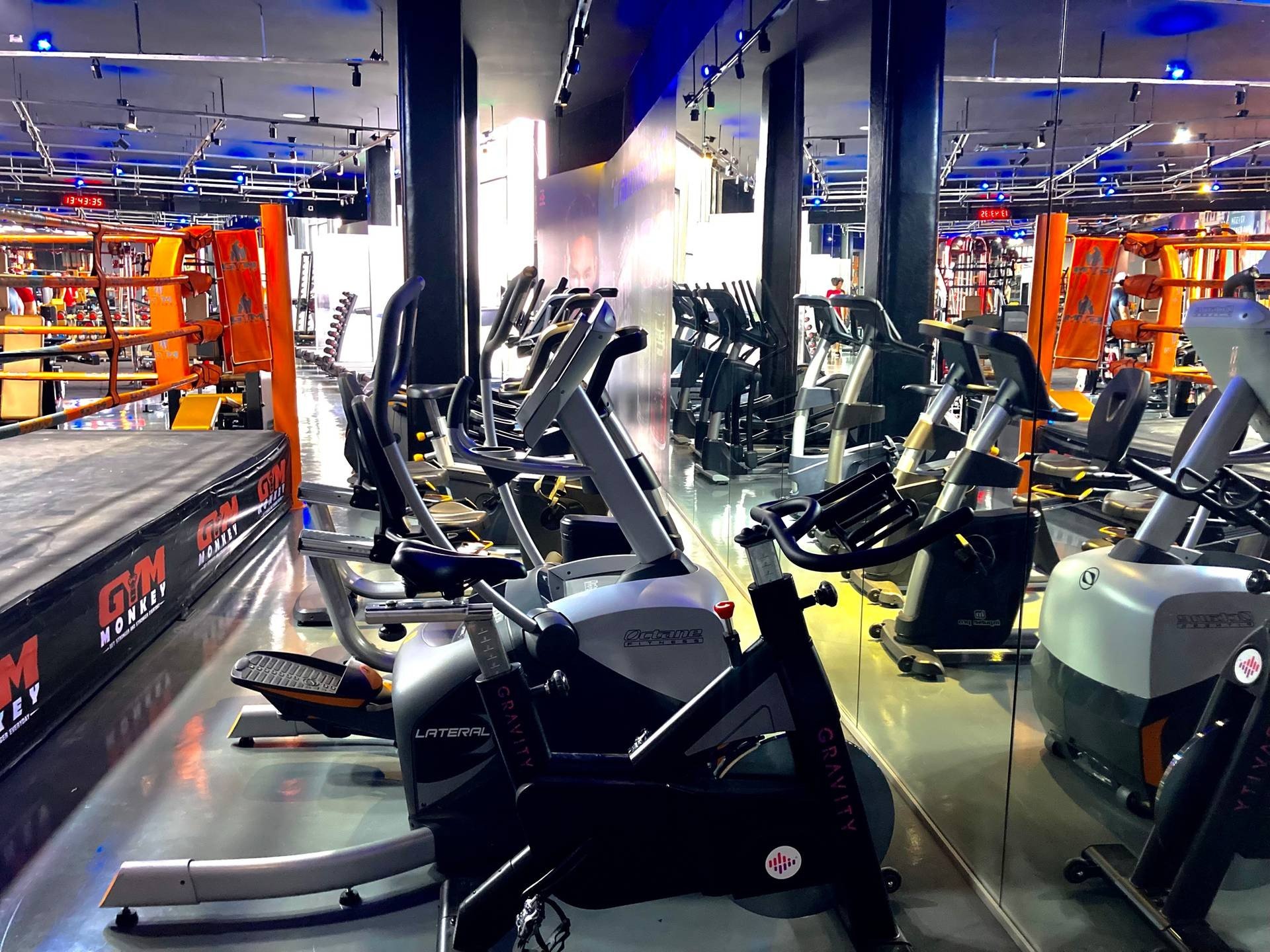 รูป GYM Monkey