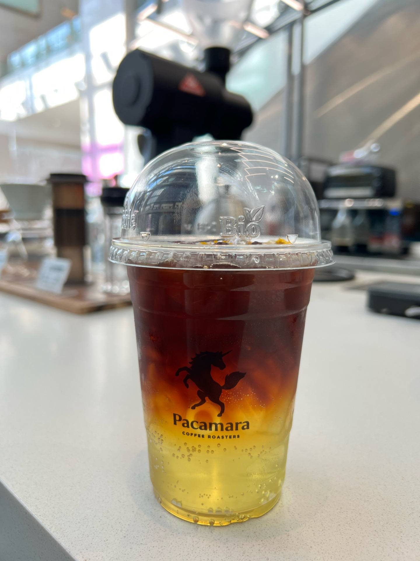 รีวิว PACAMARA The Offices at CentralWorld - กาแฟกลมกล่อม เบาๆดี