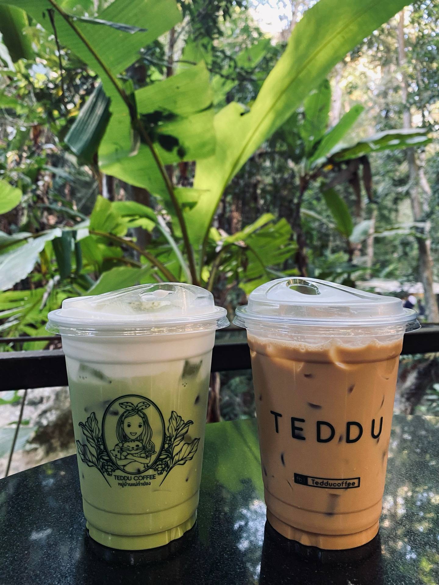 รีวิว Teddu Coffee - ไฮลท์ถ่ายรูปสวยบนสะพานแขวนกลางป่า🌳