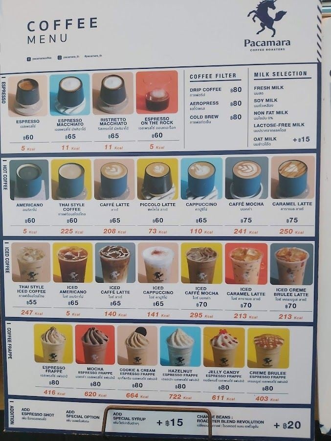 รูป PACAMARA หอสมุดคณะแพทยศาสตร์ จุฬาลงกรณ์มหาวิทยาลัย