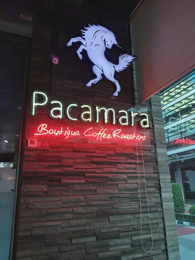 รีวิว PACAMARA หอสมุดคณะแพทยศาสตร์ จุฬาลงกรณ์มหาวิทยาลัย - 'ชอบแวะมา ...