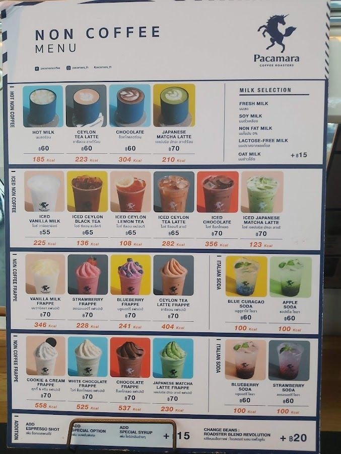 รูป PACAMARA หอสมุดคณะแพทยศาสตร์ จุฬาลงกรณ์มหาวิทยาลัย