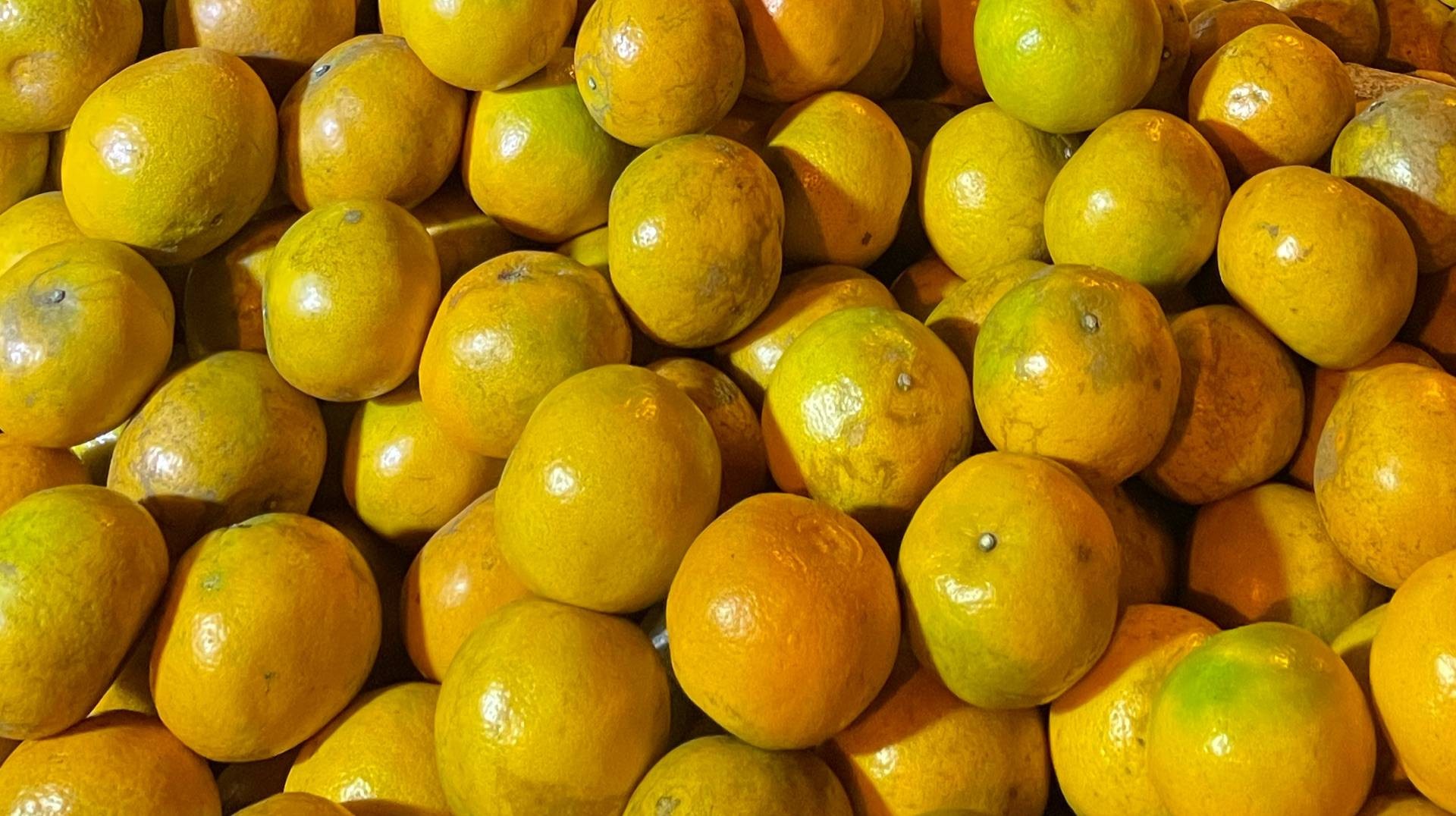 ฉวีผลไม้สด Chawee Fruit - สั่งอาหารเดลิเวอรี | Wongnai x LINE MAN