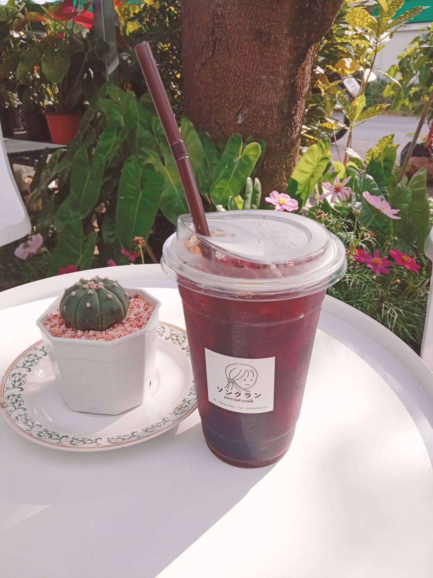 ร้าน Songkran.coffee | รีวิวร้านอาหาร - Wongnai