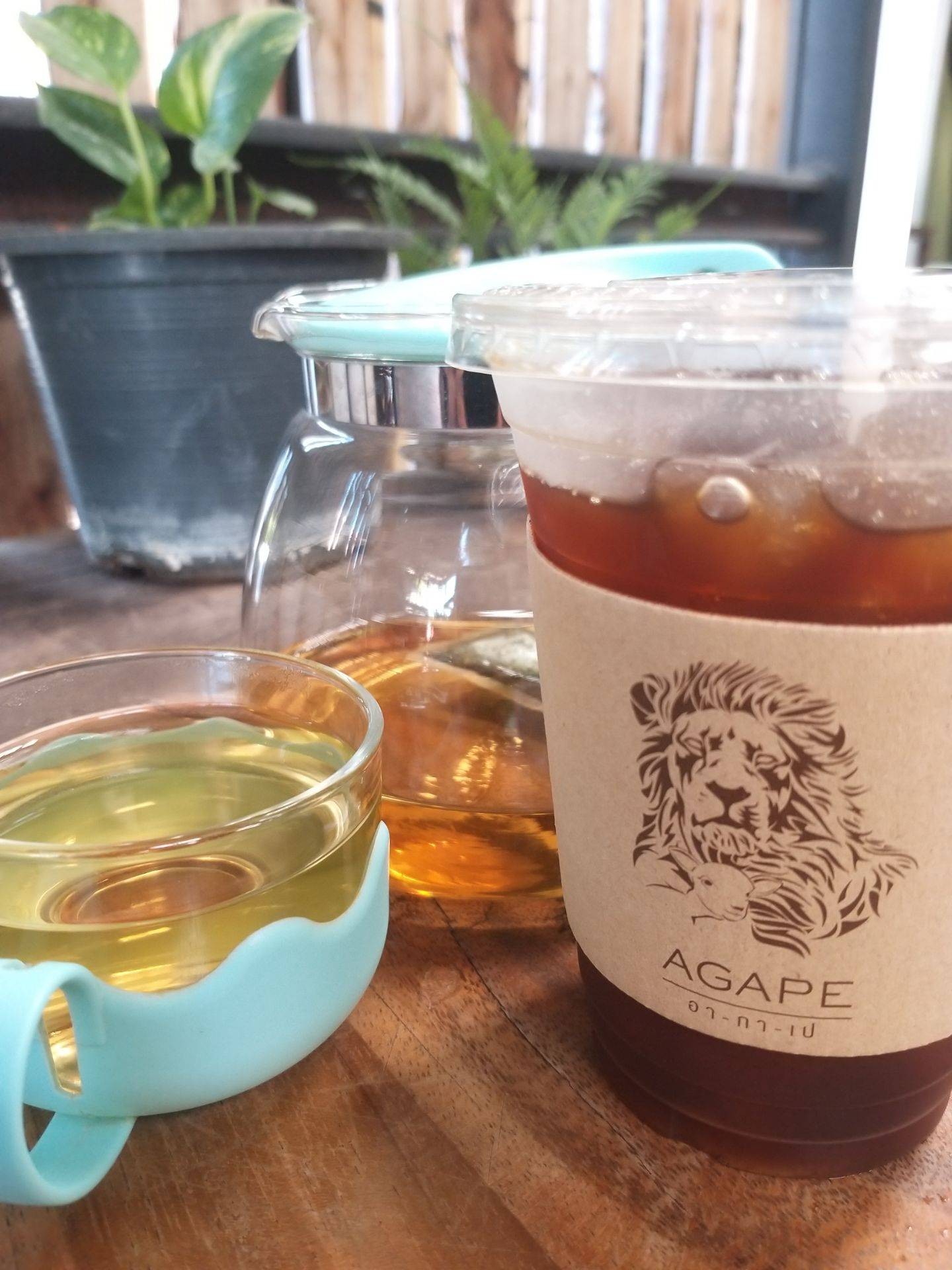 รีวิว Agape Coffee สี่แยกประตูเชียงใหม่ - เข้ม หอม ตื่นทันที - Wongnai