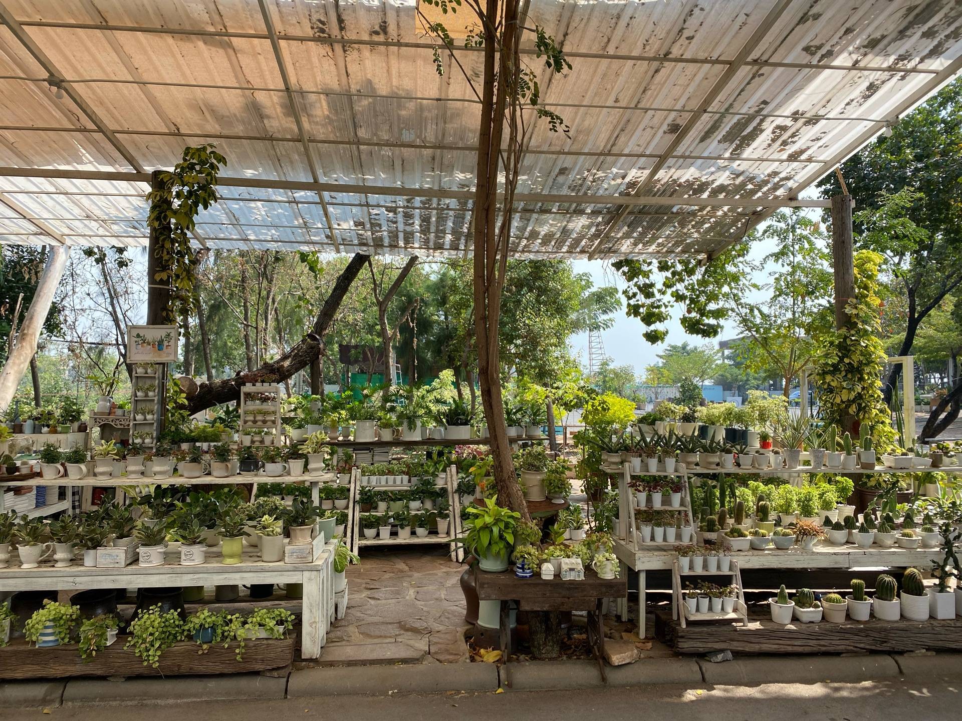 รูป Sailom Gallery