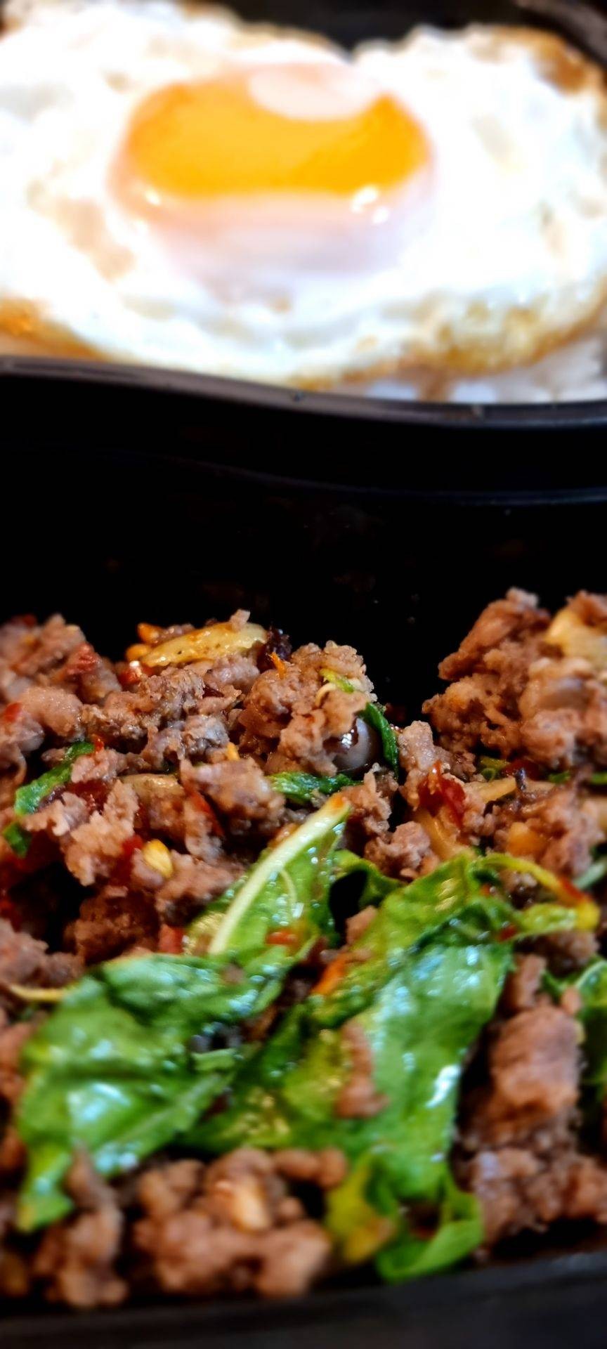 รีวิว ผัดเพรา - PadPao ศาลายา - อยากกินข้าวกระเพราต้องมาร้านนี้ - Wongnai