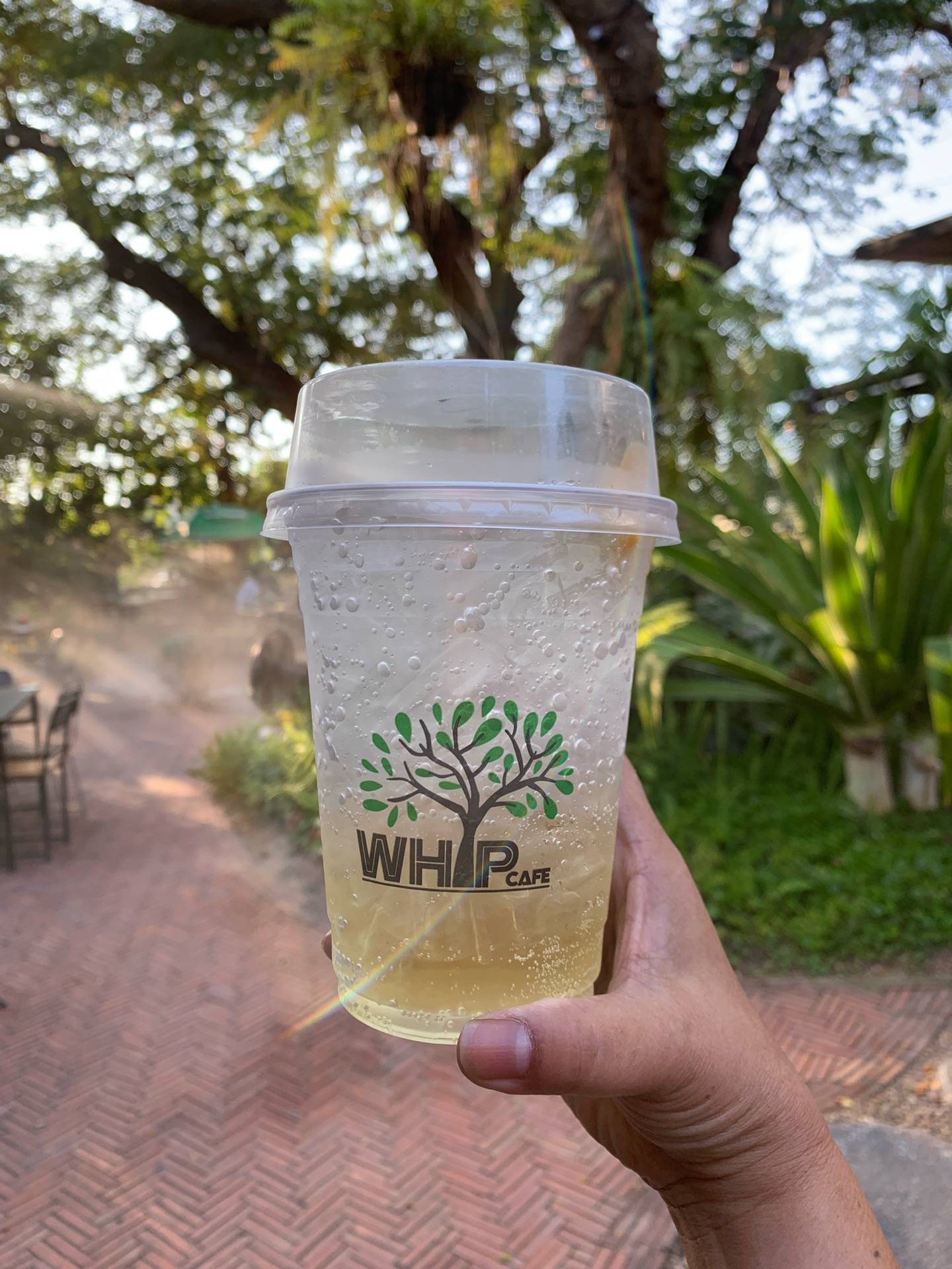 รูป WHIP CAFE Bangsaen