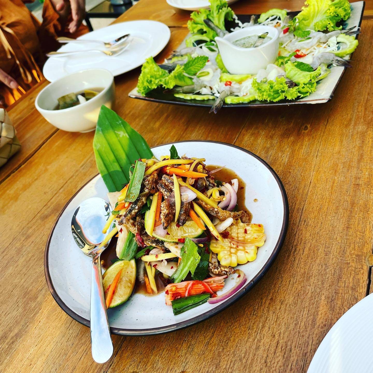รูป ลานนัว Zaab in the garden ลานนัว พัฒนาการ