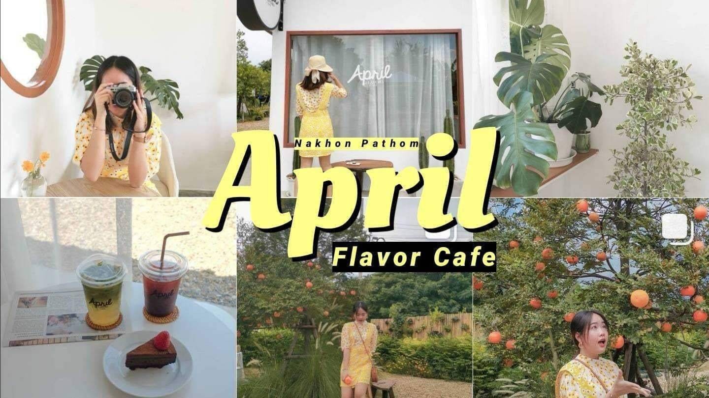 รีวิว April flavors cafe - คาเฟ่สไตล์เกาหลีที่ดูเหมือนยกสวนส้มเกาะเชจู ...