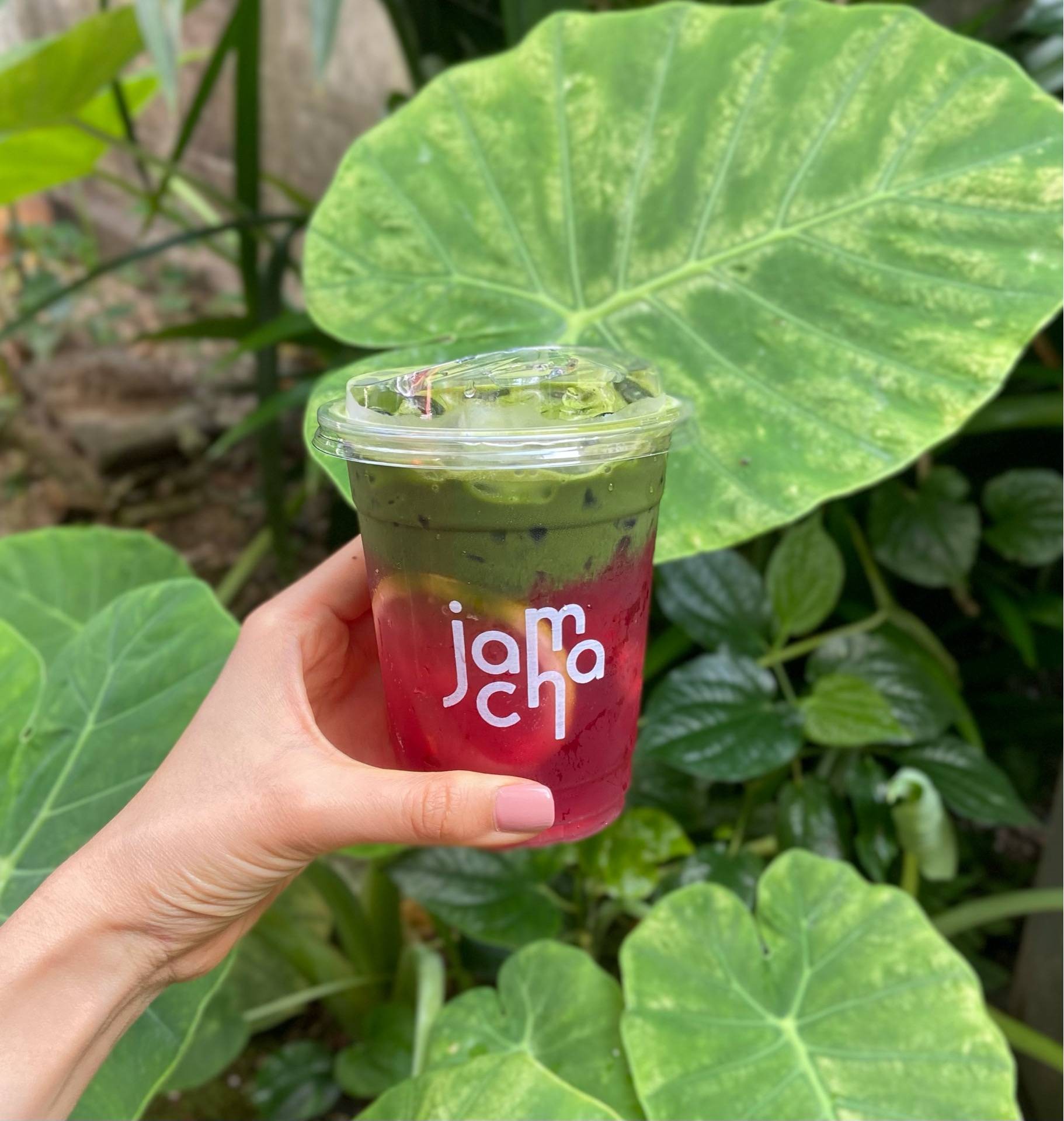 รีวิว Jamcha Hatyai - เฟลลลลลลลลมากกกกกกกกกก