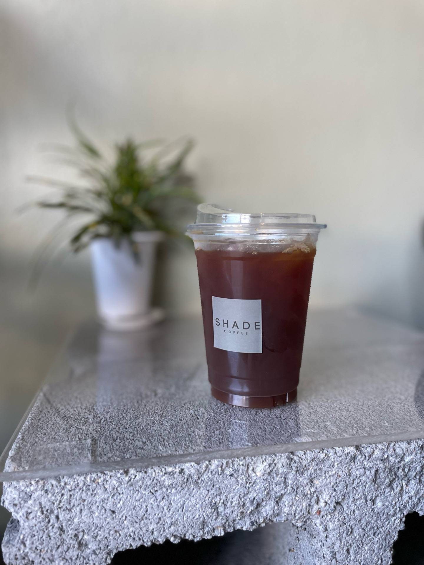 รูป SHADE coffee - Wongnai