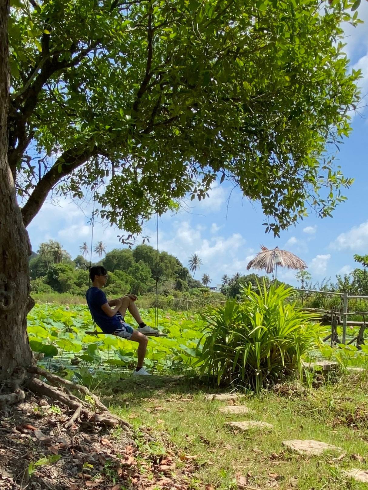 รูป The Nature samui เกาะสมุย