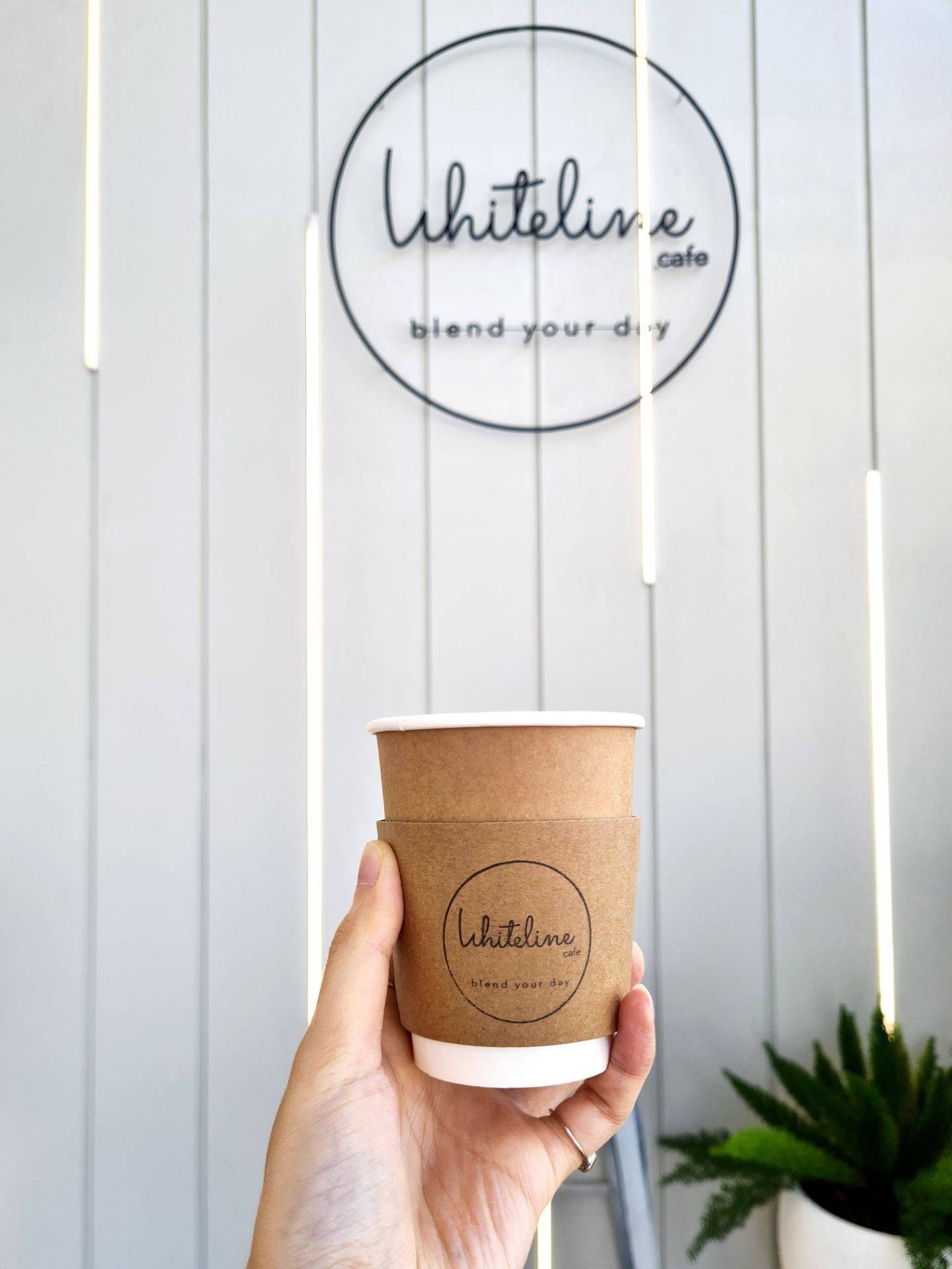 Hot Cocoa ร้าน Whiteline Cafe - coffee & bakery