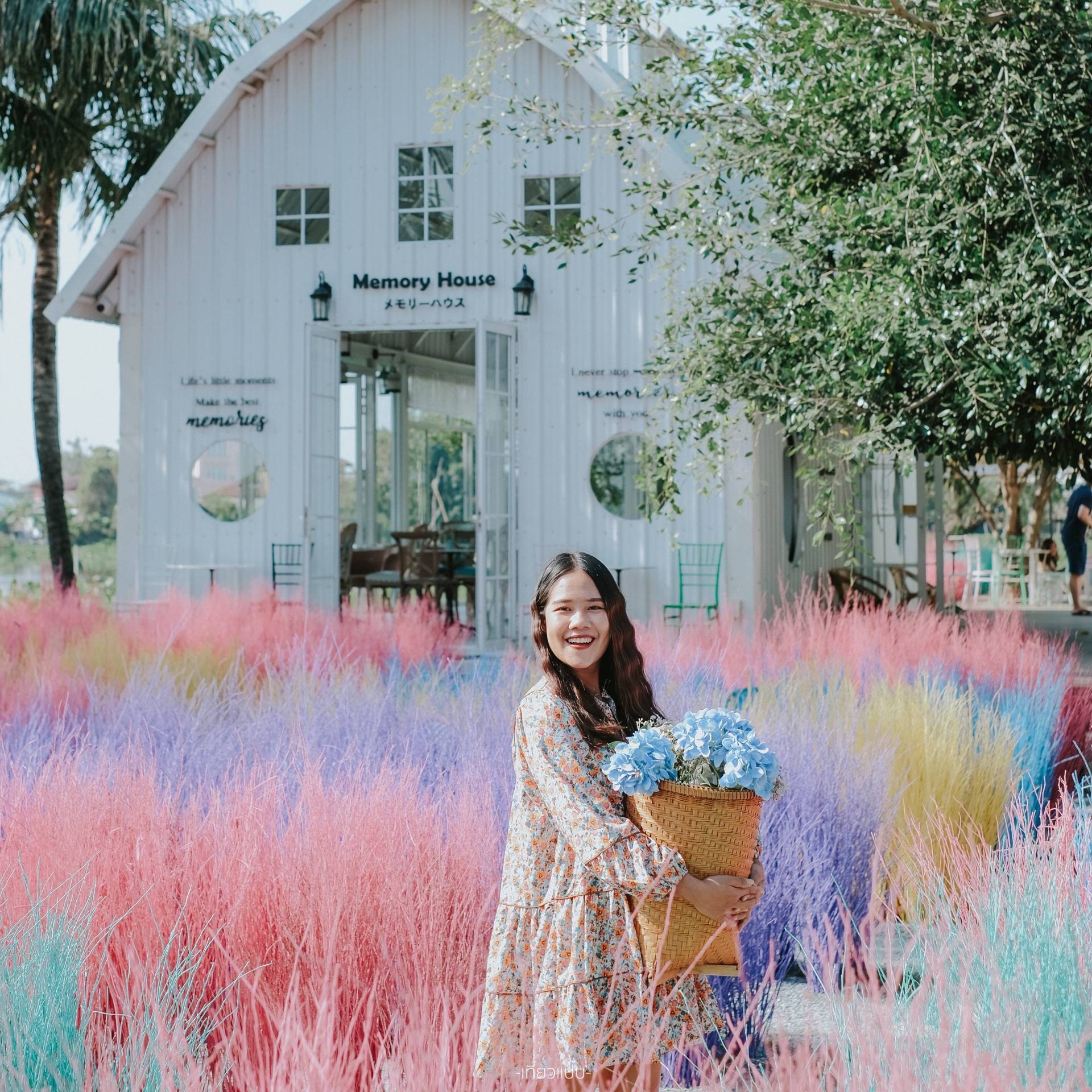 รีวิว Memory House - คาเฟ่ติดริมแม่น้ำท่าจีน มาพร้อมทุ่งหญ้าหลากสี มุม ...