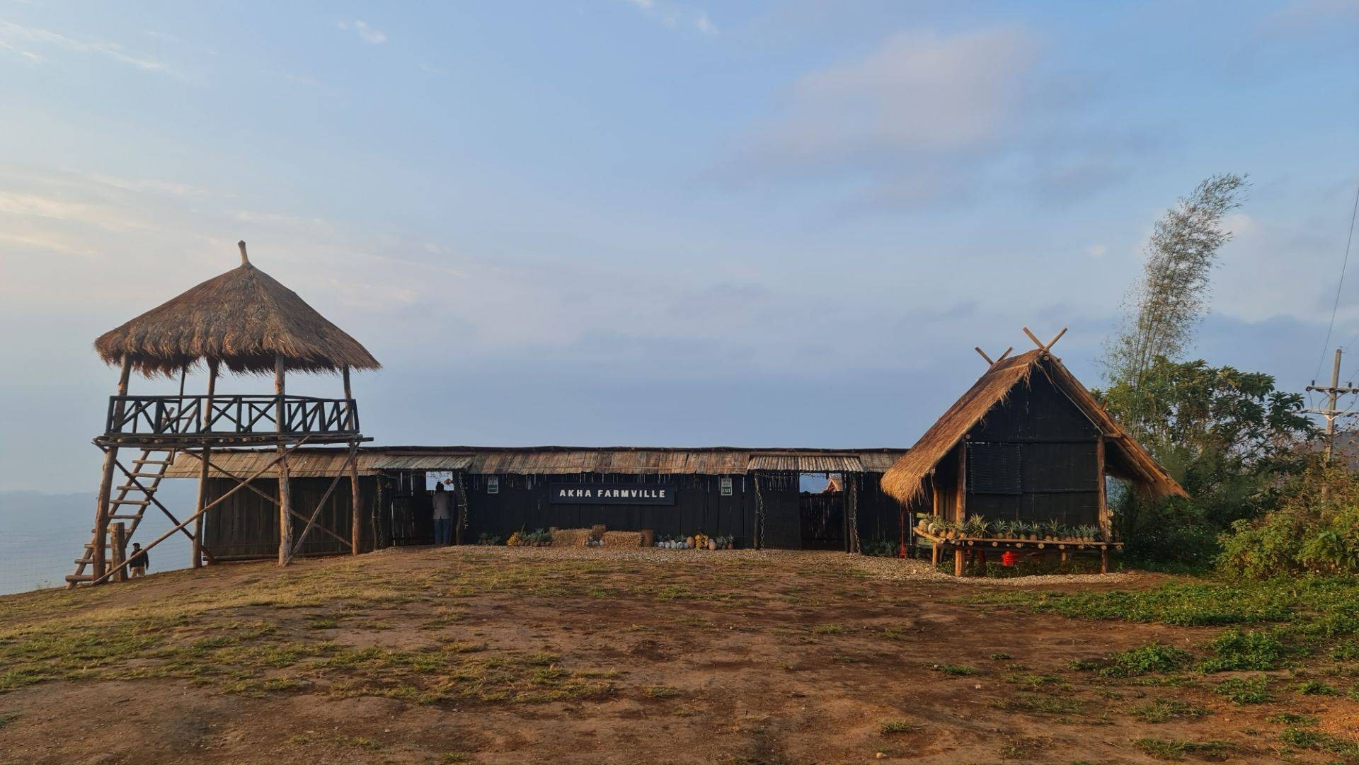 รีวิว Akha Farmville - ร้านกาแฟและเครื่องดื่ม บรรยากาศยอดเขา และที่ ...