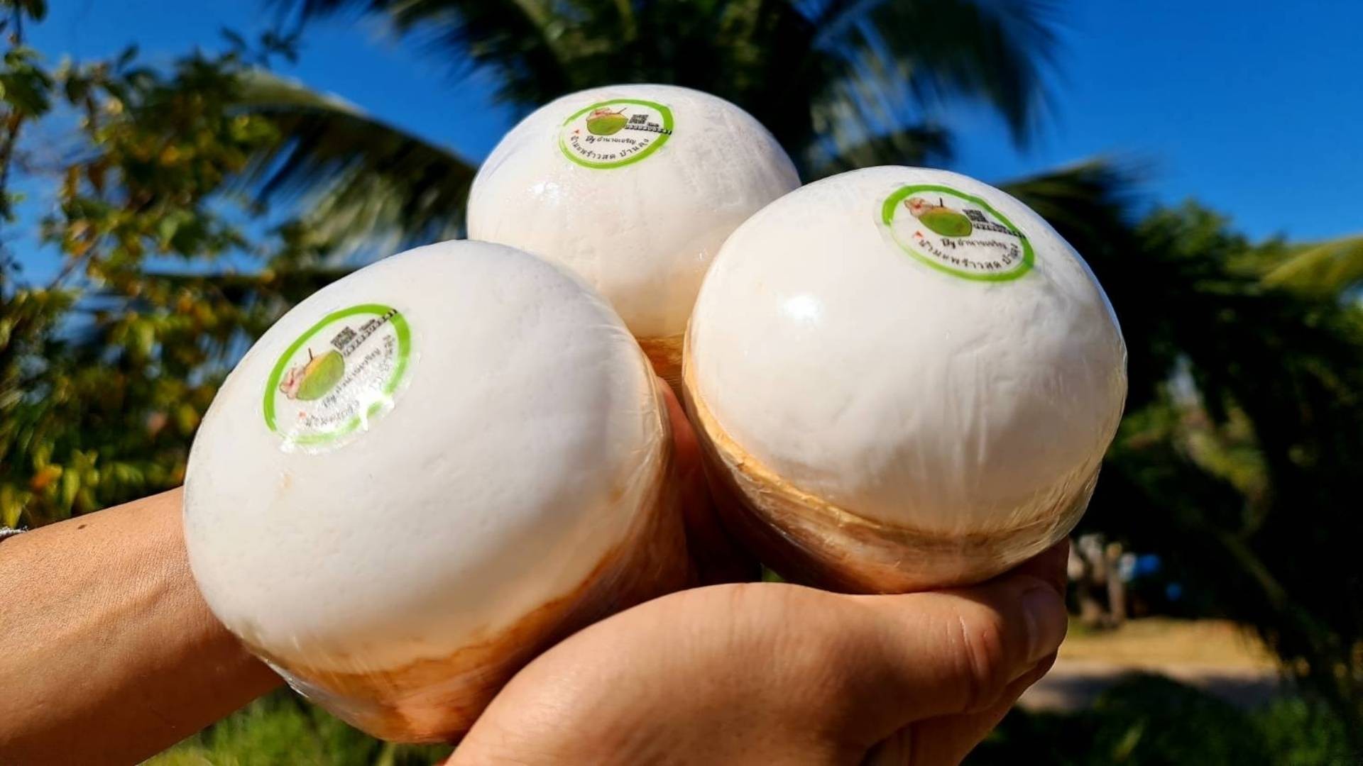 สถานีมะพร้าว Coconut-Station - สั่งอาหารเดลิเวอรี | Wongnai x LINE MAN