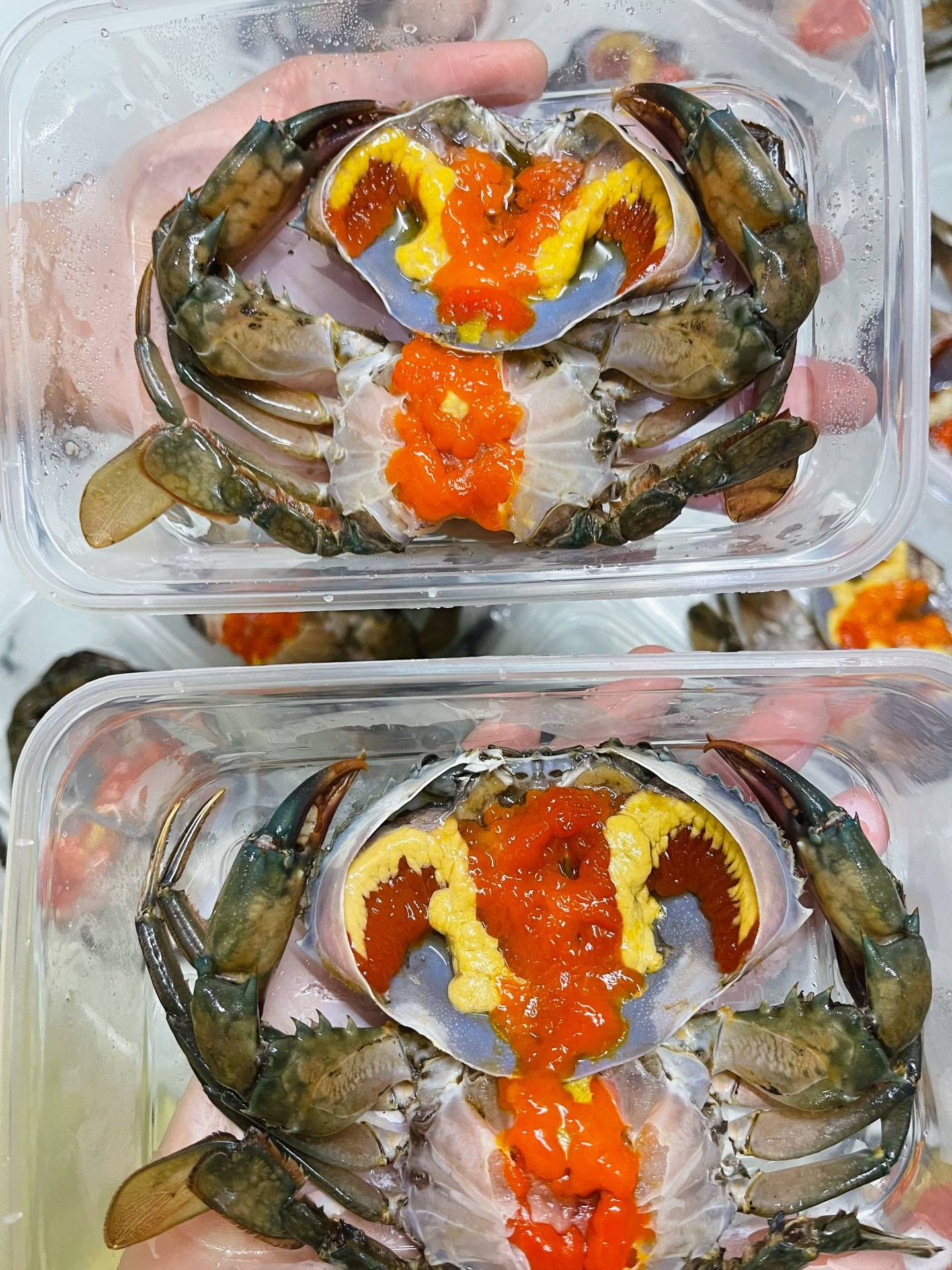 รีวิว ร้านกุ้งดองไง SALMON-GOONG DONG NGAI [ แซลมอนดอง กุ้งดอง ปูไข่ดอง ...