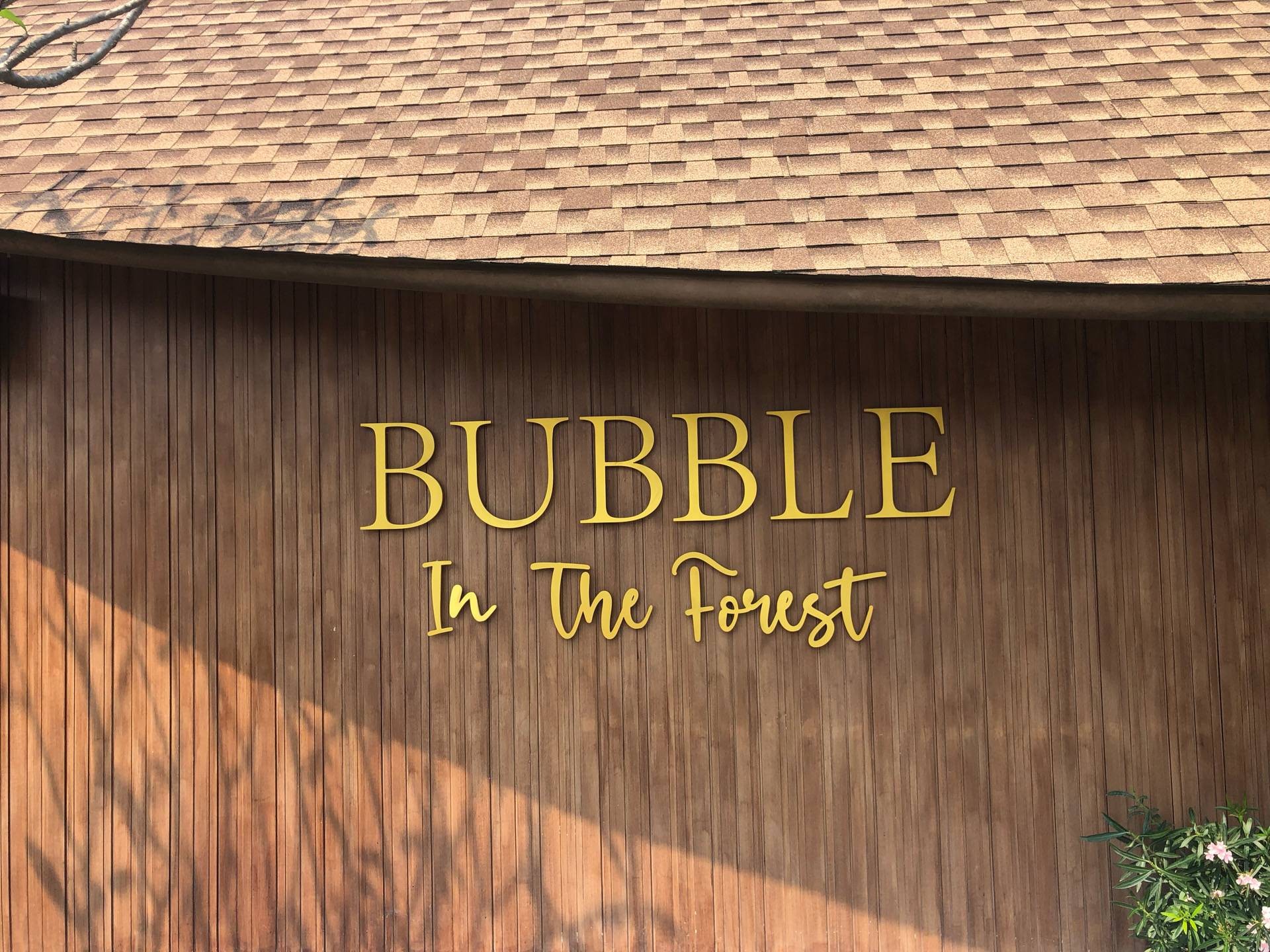รีวิว BUBBLE IN THE FOREST - ฟ้าสวย น้ำใส ที่จอดรถเยอะ - Wongnai