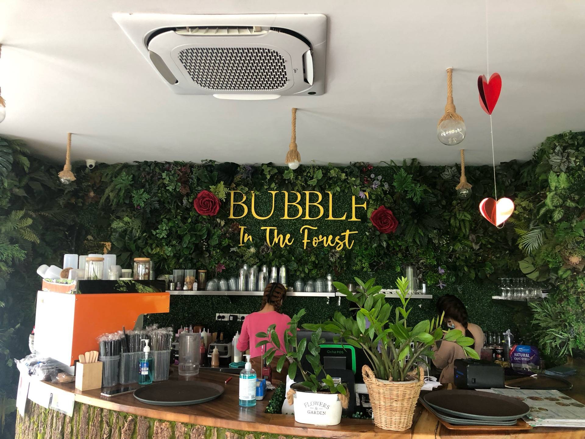 รูป BUBBLE IN THE FOREST