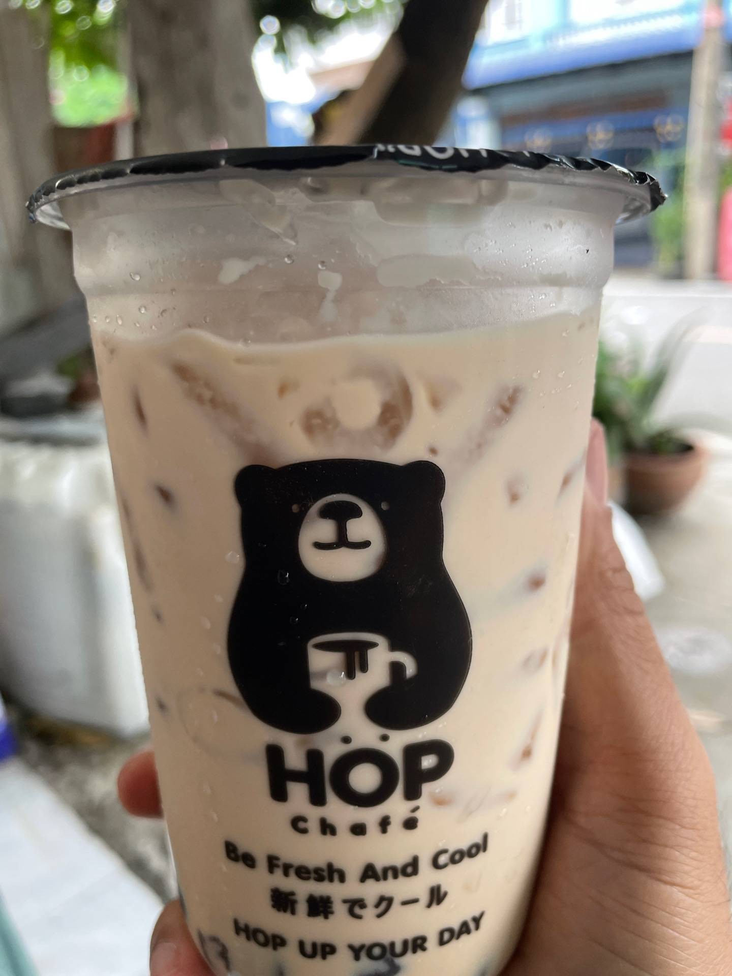 รีวิว HOP Chafe ฮ็อป ชาเฟ วัดอโศการาม - ชาไข่มุกสาย hop
