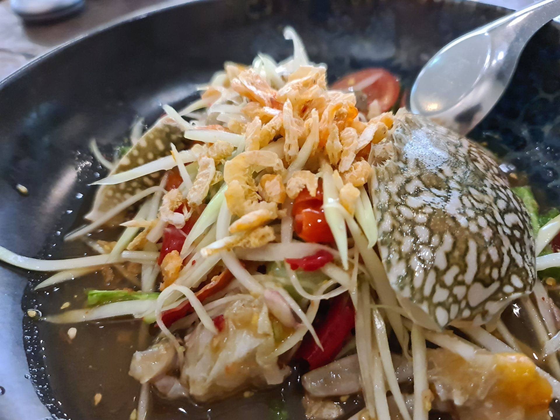 รีวิว Phed Phed Bistro อยู่ในโครงการ the circle ราชพฤกษ์ - ร้านอาหาร ...