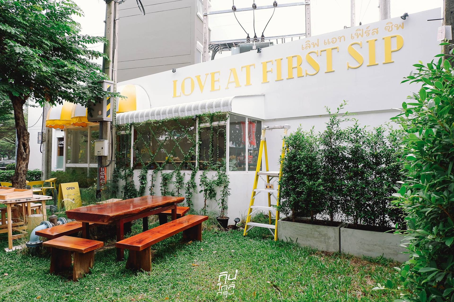 Love At First Sip Cafe - Wongnai Travel