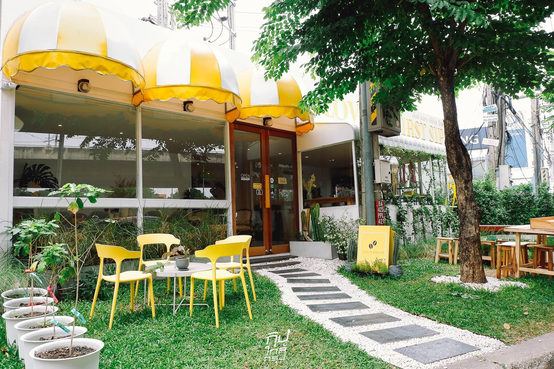 Love At First Sip Cafe - Wongnai Travel