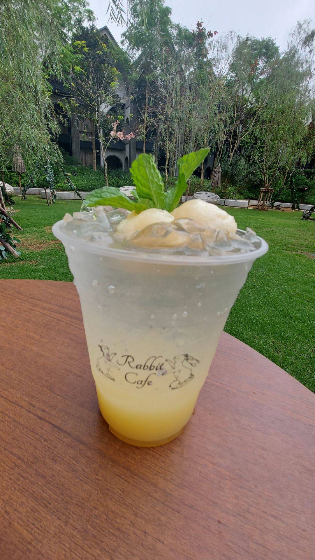 รีวิว Rabbit Cafe by Hotel Labaris - สวนสวย คาเฟ่กระต่าย - Wongnai