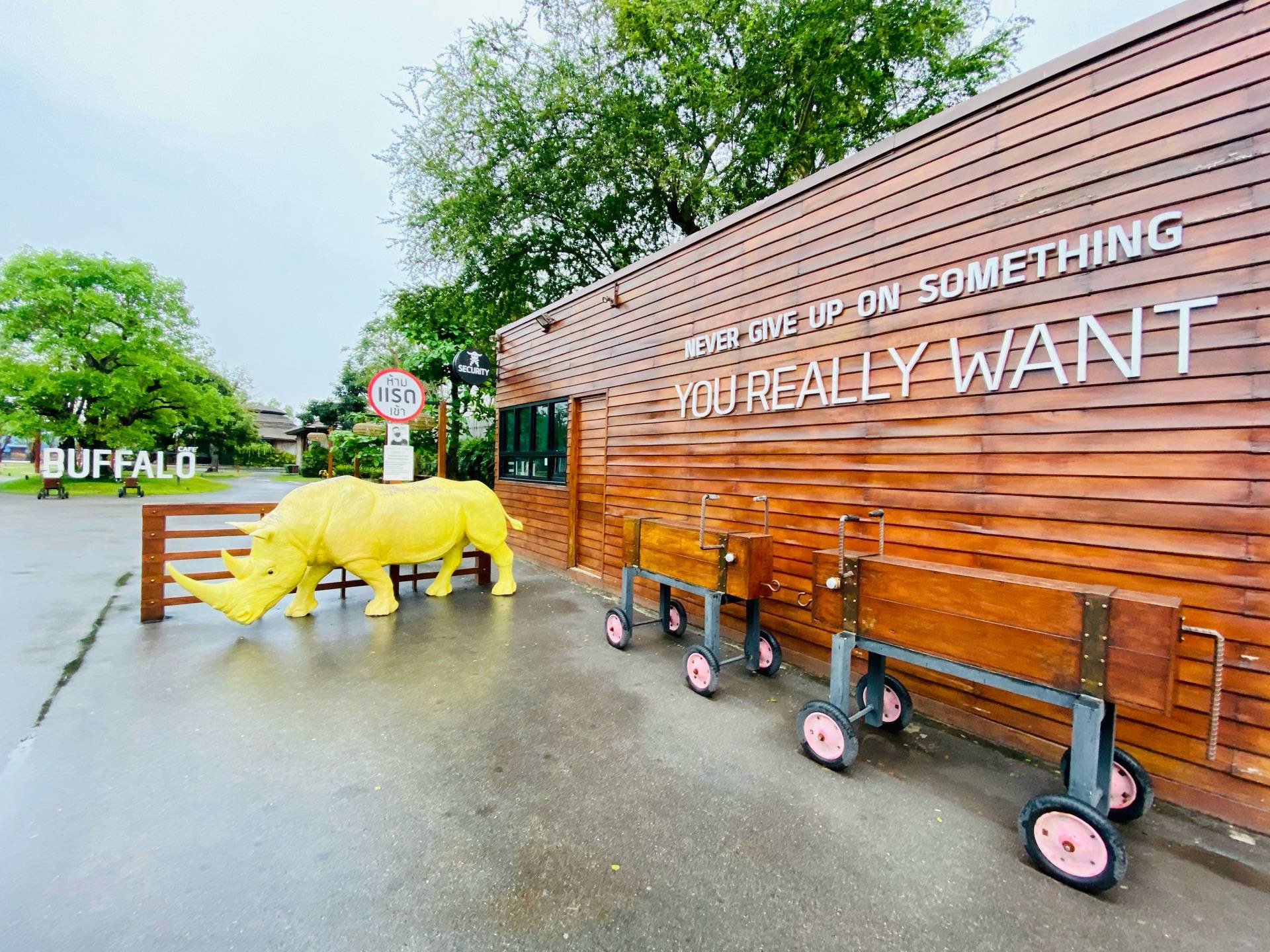 รูป The Buffalo Cafe'