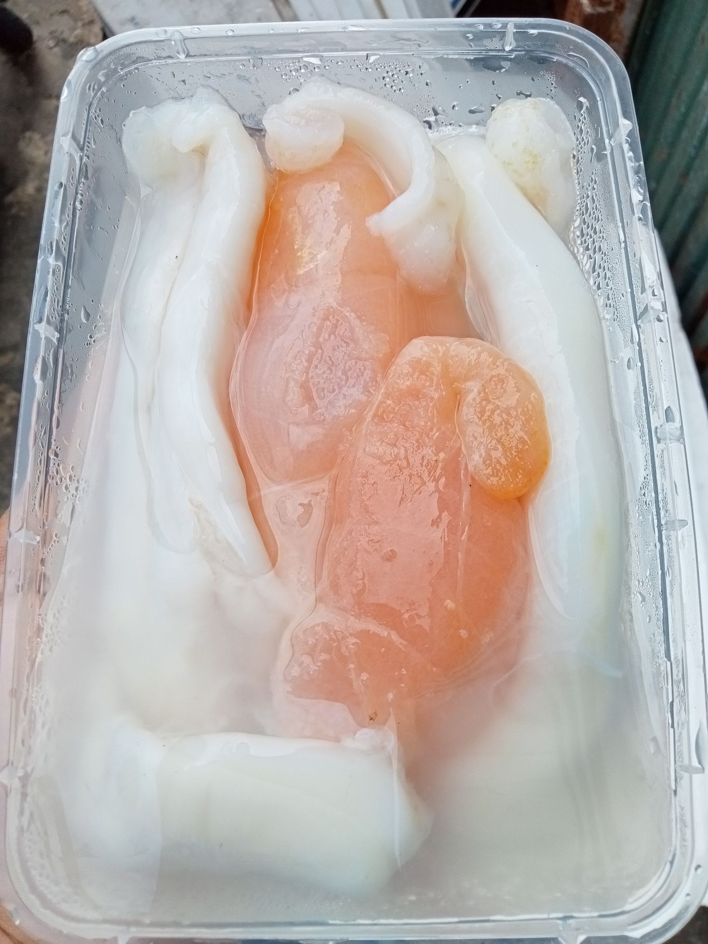 Zeerin Frozen & seefood - สั่งอาหารเดลิเวอรี | Wongnai x LINE MAN