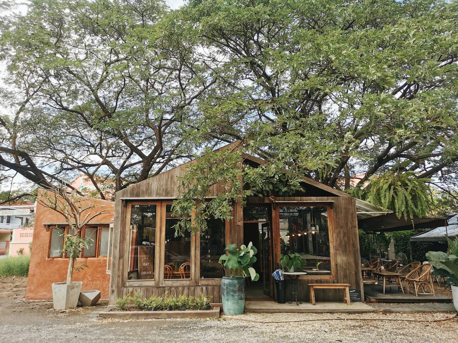 รีวิว 9th September Eat Drink Tree - under the tree on 9th September