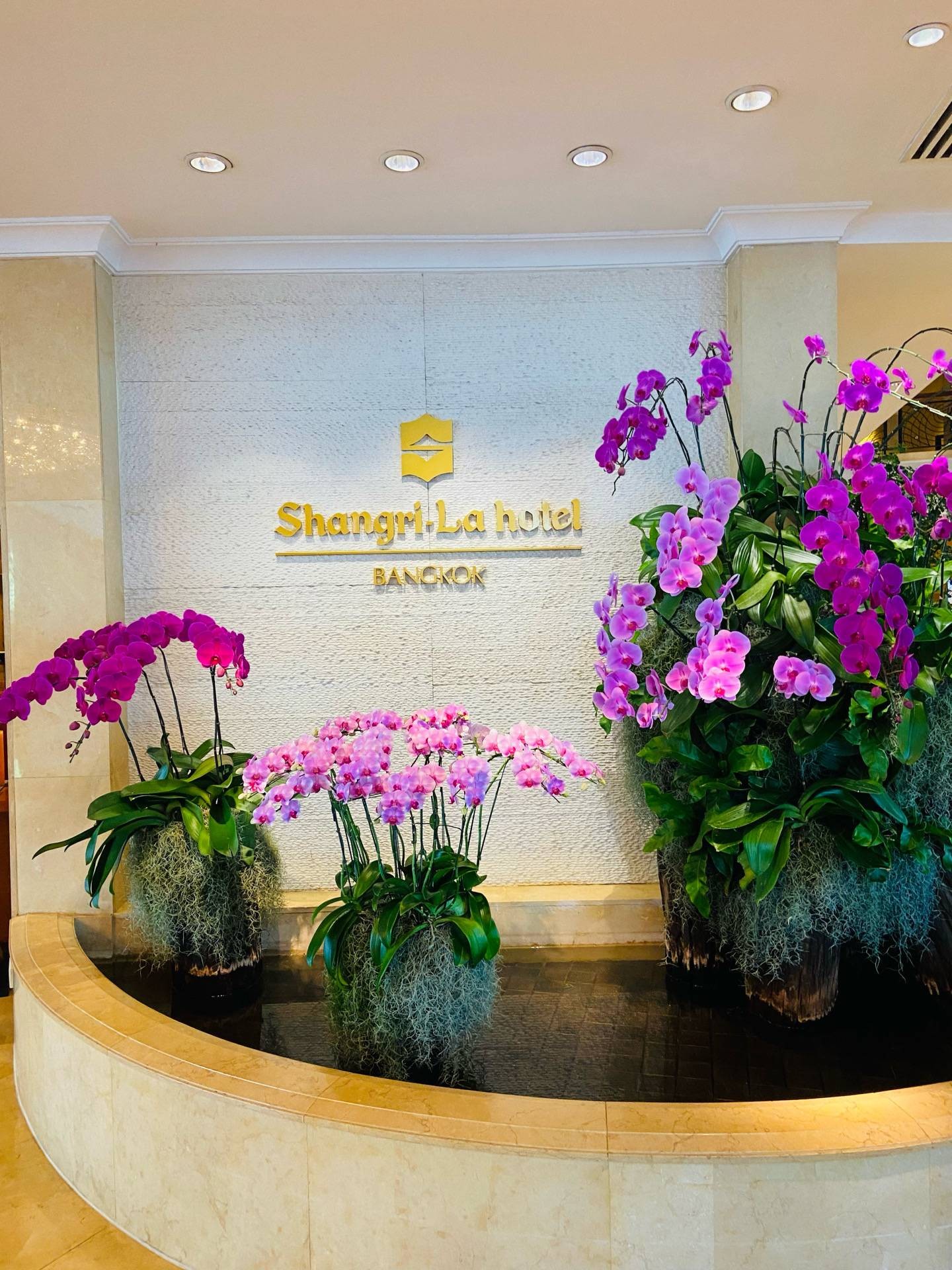 รีวิว Shang Palace โรงแรมแชงกรี-ลา กรุงเทพฯ | Shangri-La Hotel, Bangkok ...