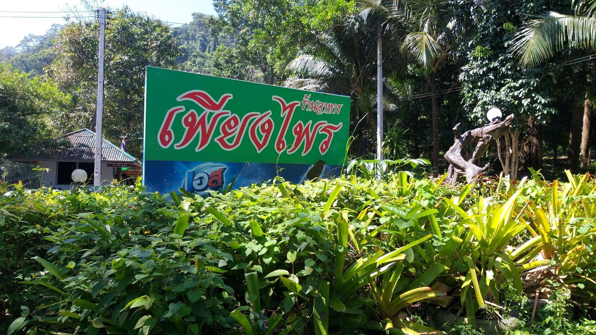 รูป เพียงไพร
