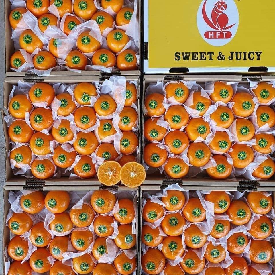 Somjai.fruit - สั่งอาหารเดลิเวอรี | Wongnai x LINE MAN