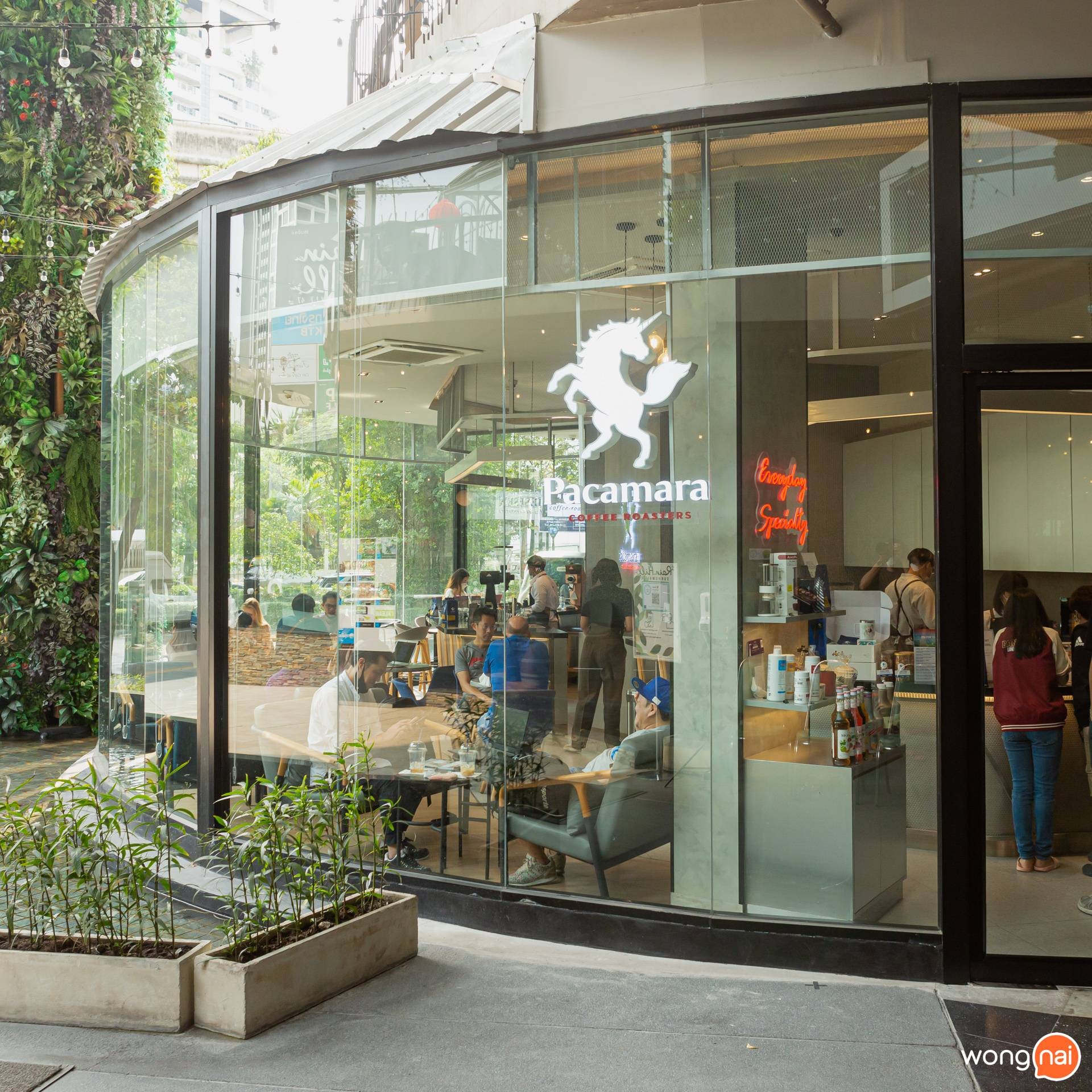 รูป PACAMARA Rain Hill